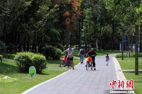 Chengdu greenway's floral beauty draws spring tourists