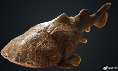 423 million year old jawed fish fossil found in SW China