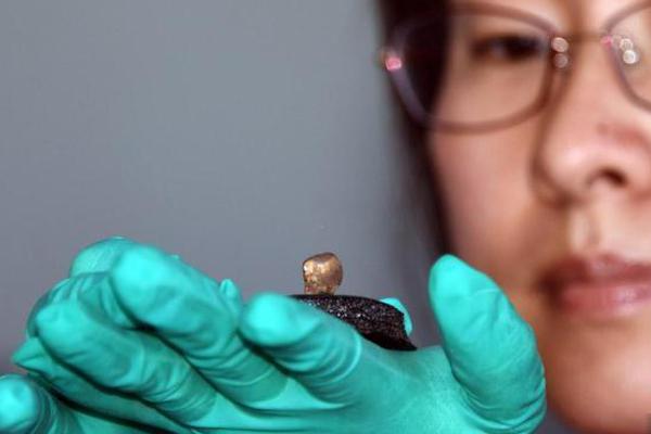 12,000-year-old deer-tooth decoration discovered in China's Ningxia